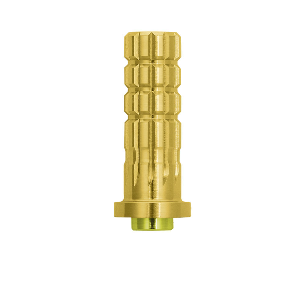Category: Titanium Temporary Cylinder