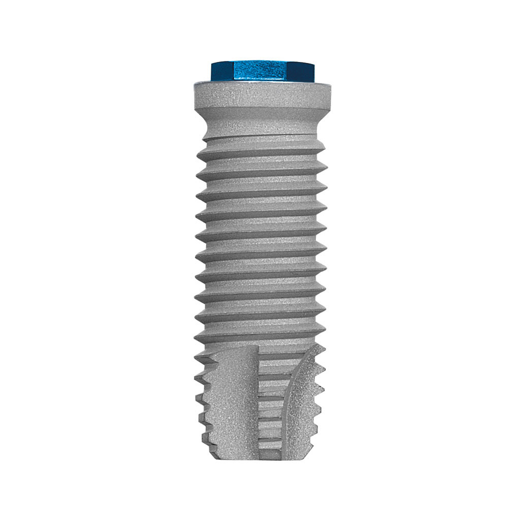 Category: Dental Implant Systems