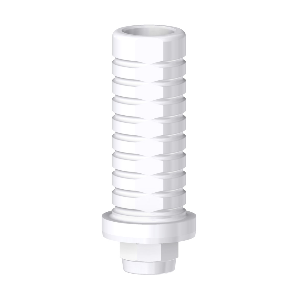 Category: Castable Abutment